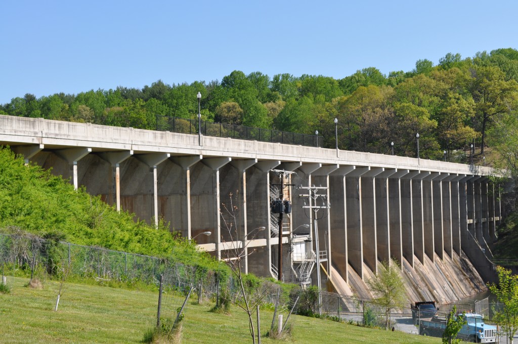 Update on Brighton Dam Azalea Gardens | AnnieRie Unplugged